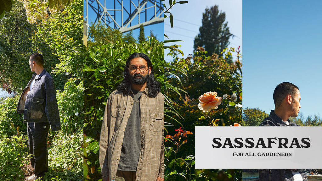 Introducing Sassafras – Blue Owl Workshop