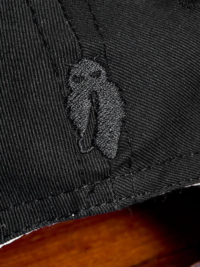Blue Owl Baseball Cap in Black – Blue Owl Workshop