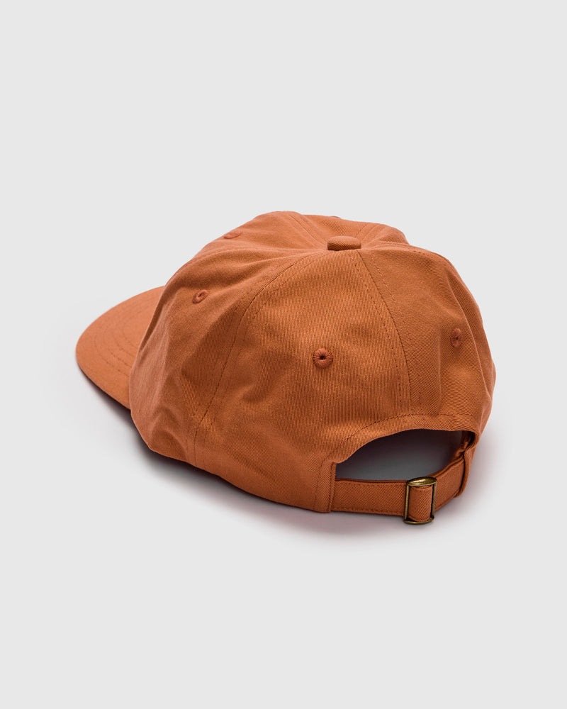 Swan Logo Gabardine Cap in Pumpkin – Blue Owl Workshop